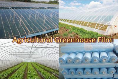 China 50micron-200micron Plastic Agricultural Greenhouse  Film Cover for sale