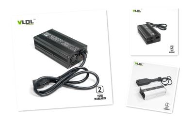 Cina caricarsi automatico ed astuto del caricatore della batteria al litio di 12V 14V 10Amps LiFePO4 in vendita