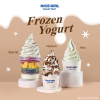 Quality Ice Cream Franchise for sale