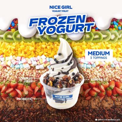 China Professional Frozen Yogurt Franchise 5 Size Rich Milk Flavor For Young Adults for sale