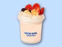 Quality Frozen Yogurt Franchise for sale
