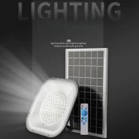 China Mounted Outdoor Solar LED Ceiling Light  Hanging Lamp | Waterproof & Motion Sensor for sale