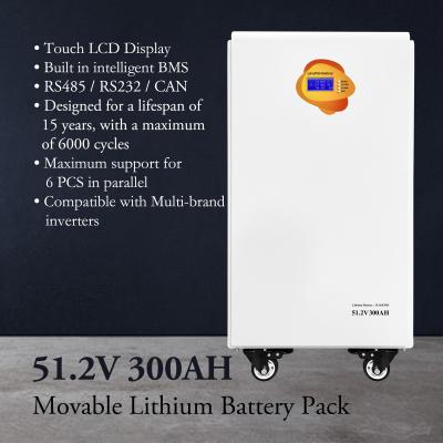 China 16KWH Movable Off grid Lithium Battery Pack LCD Display BMS RS485 RS232 CAN LiFePO4 IP21 Warranty 5 Years for sale