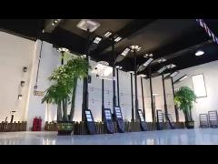 LED Apple Street Decorative Split Solar Street Light For Garden Park 40W 60W 80W 100W