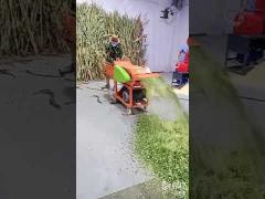 Ensilagem do uso da casa 5.5KW que faz a máquina Straw Hay Grass Cutter