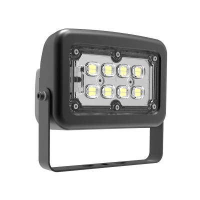 Cina IP65 luci di inondazione di alto potere LED in vendita