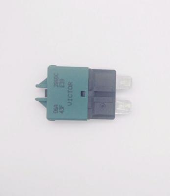 Cina Interruttore termico automatico 6A 24V dell'interruttore automobilistico in vendita