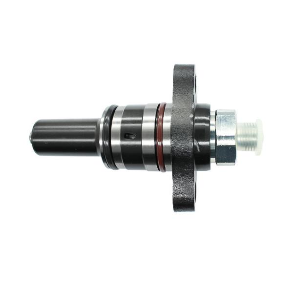 Truck Heavy Engine Diesel Pump Repair Spare Parts 2.2 Plunger