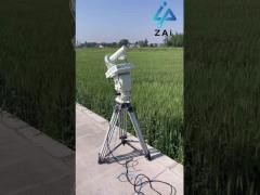 Deception device