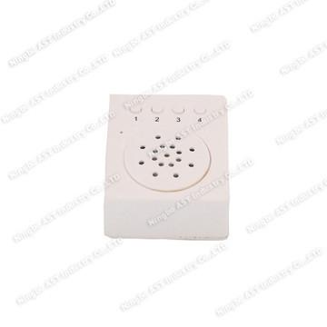 China Voice Recorder S-2020B for sale