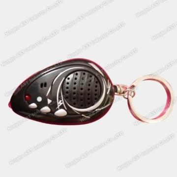 China Voice Keychain S-4209 for sale