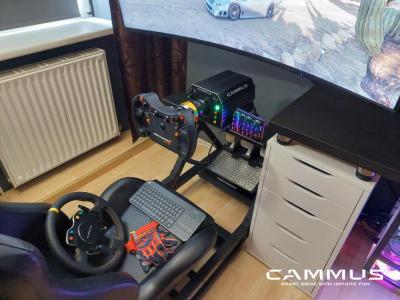Cina Moto automatico del volante del simulatore della macchina da corsa del gioco online per il PC in vendita