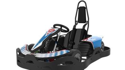 Cina 3h pro go-kart elettrici di carico del motore a pile dei go-kart 3500RPM in vendita