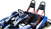 China App Adjustment Control Playground Gokart for sale