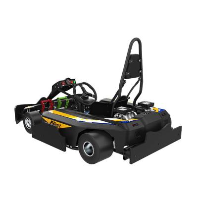 Cina go-kart elettrici di 120km/H Junior Go Karting 48V per l'adolescente in vendita