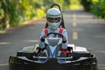 China ISO9001 36ボルトの遊園地はハブ5インチののKart行く for sale