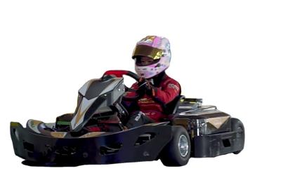 Cina go-kart telecomandati adulti 48V in vendita