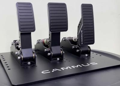 Cina Macchina da sala da corsa per auto da corsa con servomotore da 15 Nm per parco divertimenti in vendita
