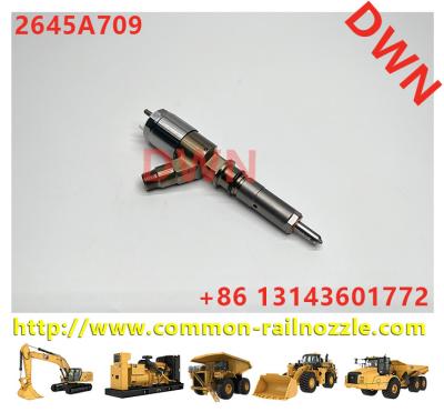 Cina iniettore comune 2645A731 2645A743 2768290 della ferrovia 2645A709 2820490 2897501 2939590 in vendita