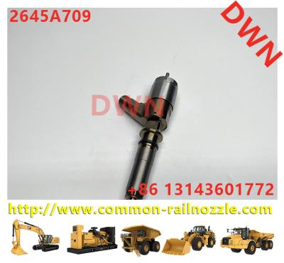 Cina iniettore comune 2645A731 2645A743 2768290 della ferrovia 2645A709 2820490 2897501 2939590 in vendita