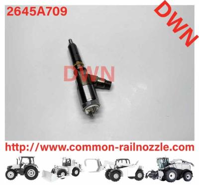 Cina iniettore comune 2645A731 2645A743 2768290 della ferrovia 2645A709 2820490 2897501 2939590 in vendita