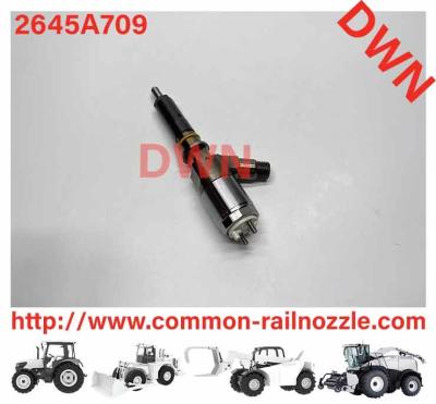 Cina iniettore comune 2645A731 2645A743 2768290 della ferrovia 2645A709 2820490 2897501 2939590 in vendita
