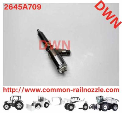 Cina iniettore comune 2645A731 2645A743 2768290 della ferrovia 2645A709 2820490 2897501 2939590 in vendita