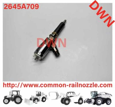 Cina iniettore comune 2645A731 2645A743 2768290 della ferrovia 2645A709 2820490 2897501 2939590 in vendita