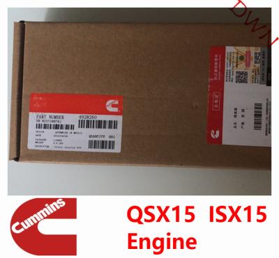 Cina Iniettore comune 4928260 del motore del combustibile diesel della ferrovia di Cummins per il motore di Cummins QSX15 ISX15 in vendita