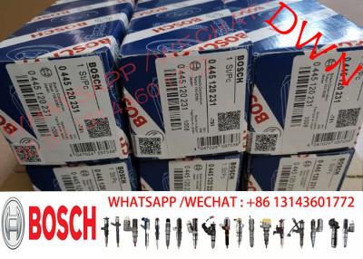 Cina 0445120231 Cummins PC200-8 QSB4.5 QSB6.7 3976372 6754-11-3011 4945969 5263262 0445120059 in vendita