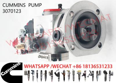 Cina 3070123 pompa ad iniezione comune della ferrovia di Cummins Nta855 3075537 3059657 4076760 in vendita
