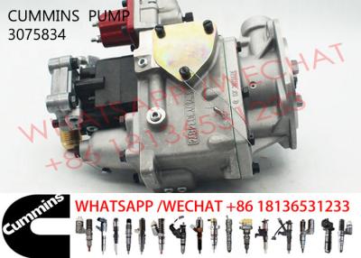Cina Pompa del carburante del motore diesel di Cummins KTA50-G3 3075834 in vendita