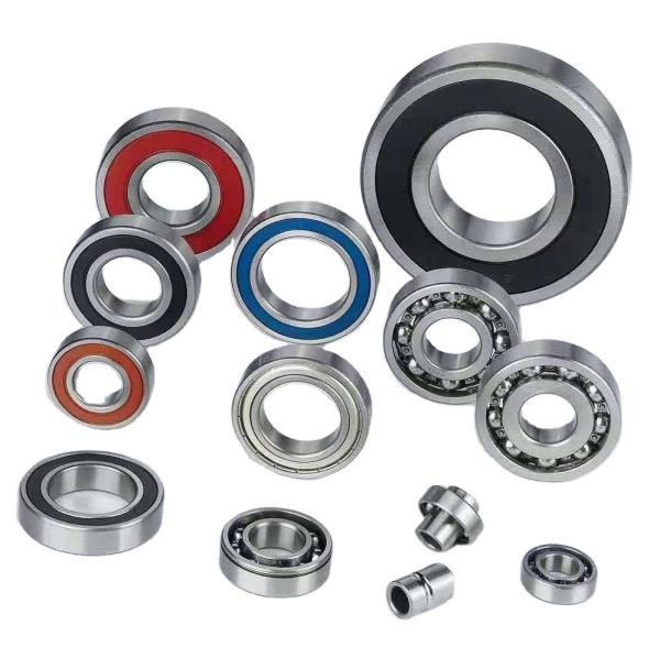 Quality Sea Shipping Bearings 6202 6203 6300 6005 Made in for Replacement and Repairing for sale