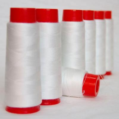 China 100% PVA Water Soluble Thread with 2F Yarn Count for Recyclable and Low Shrinkage Applications for sale