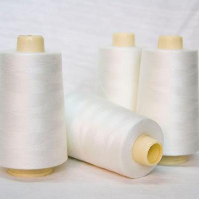 China 20/2 40/2 50/2 PVA Water Soluble Thread for Knitting Sewing and Embroidery for sale