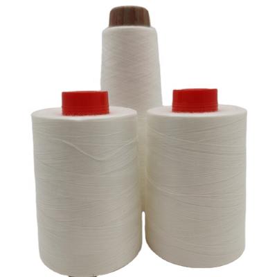 China 100% PVA Water Soluble Thread 20/2 40/2 High Temperature Resistant Low Shrinkage Sewing Machine Thread for sale