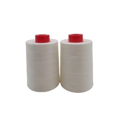China 100% PVA Water Soluble Thread 20/2 40/2 High Temperature Resistant Low Shrinkage Sewing Machine Thread for sale