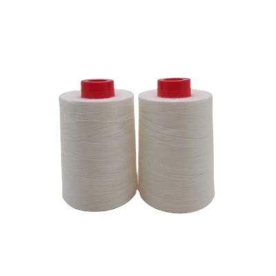 China 100% PVA Water Soluble Thread 20/2 40/2 High Temperature Resistant Low Shrinkage Sewing Machine Thread for sale