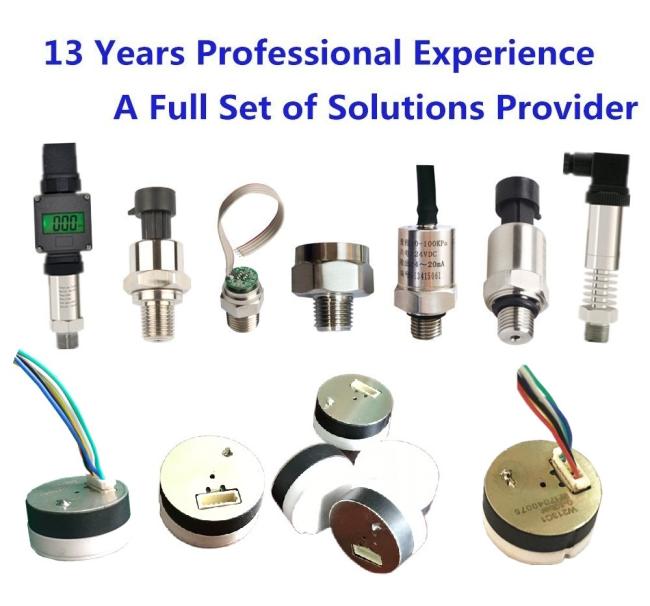 10 bar 20 bar 0.5-4.5V 4-20ma Dry Ceramic Capacitive Pressure Sensor