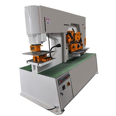 China Double Cylinder Metal Shear Machine Ironworker Machine Tool HIW-120S for sale