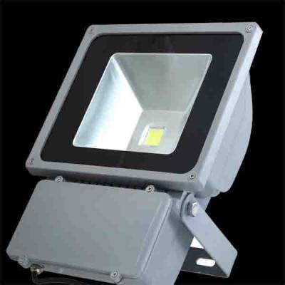 China IP65 outdoor USA Brigelux LED 70W led floodlight for sale