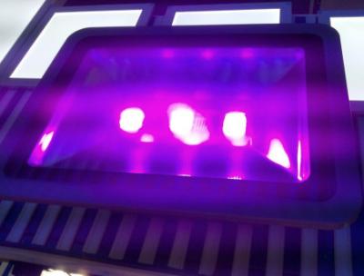 Cina l'alto potere all'aperto principale RGB IP65 delle luci di inondazione 20w ha condotto il proiettore in vendita