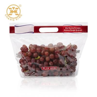 Cina borse d'imballaggio della frutta asciutta di 100g 500g con il foro Cherry Stand Up Pouches Eco fresco amichevole in vendita