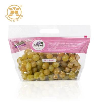 Cina Le borse d'imballaggio della frutta asciutta fresca del PE BOPP con il foro stanno le borse su d'imballaggio in vendita