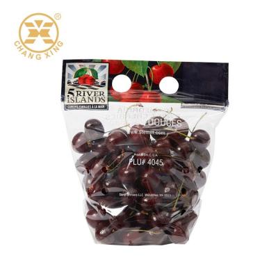 Cina Le borse d'imballaggio della frutta asciutta fresca del PE BOPP con il foro stanno le borse su d'imballaggio in vendita