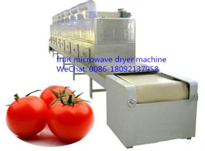China Microwave Sterilizing and Drying Machine for flower, fruit and pet foods for sale