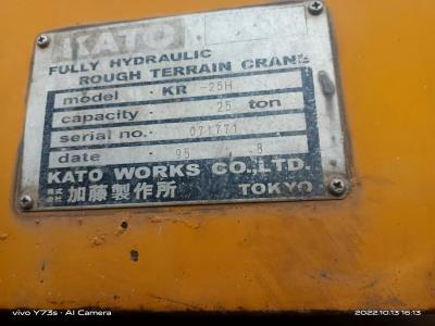 China Tadano TG-500E TL-300E TL-250E mobiele kraan TR-500EX TR-250M KR25H KR50H gemaakt in Japan Te koop