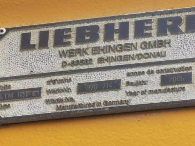Cina Liebherr LTM1500 LTM1200 LTM1160 LTM1250 250T 500t 200t 160t gru con motore Kubota in vendita