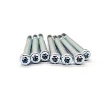 China Zinc Coating Self Tapping Security Screw Socket Head Tamper Proof Screw Torx Drivers for sale
