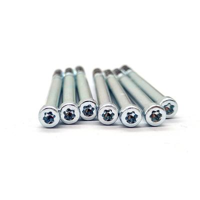 China Zinc Coating Self Tapping Security Screw Socket Head Tamper Proof Screw Torx Drivers for sale